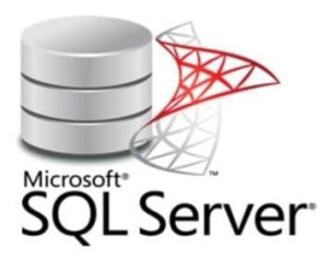 SQL Server Standard - 2 Core License Pack - 1 year-Commercial ...